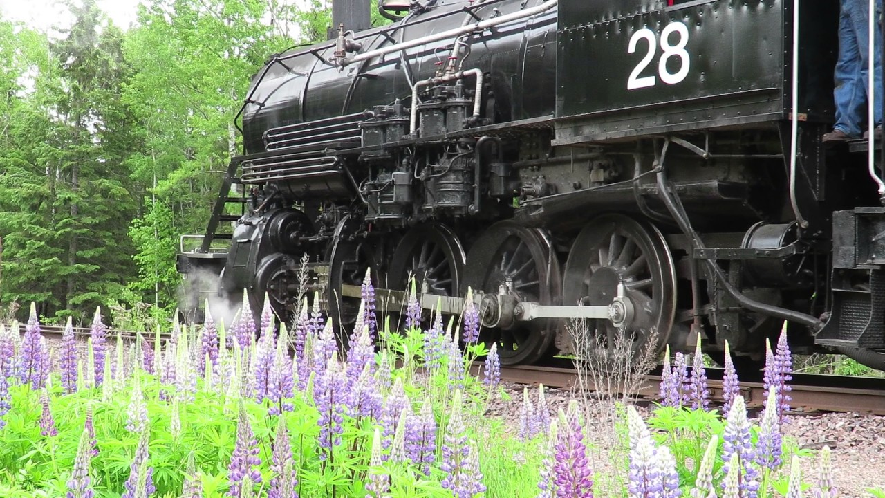 NorthShore Scenic Railroad Steam Engine #28 and Lupine - YouTube
