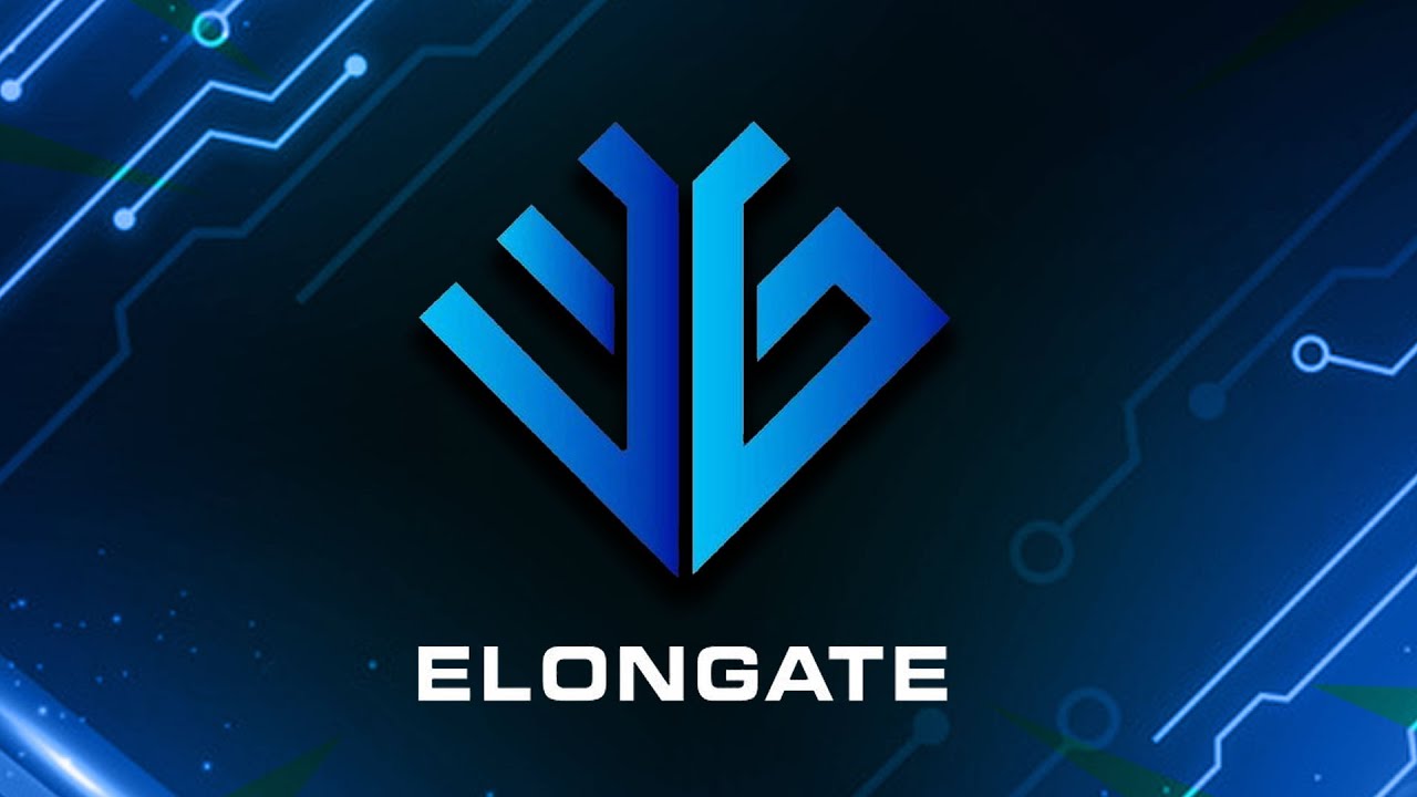 ElonGate Meme Token Scam or 1000X GEM? - YouTube