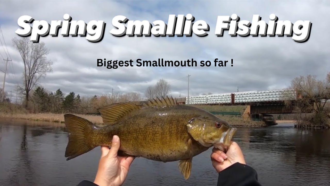 Smallmouth Fishing next to Train Station (Fat Smallmouth) - YouTube