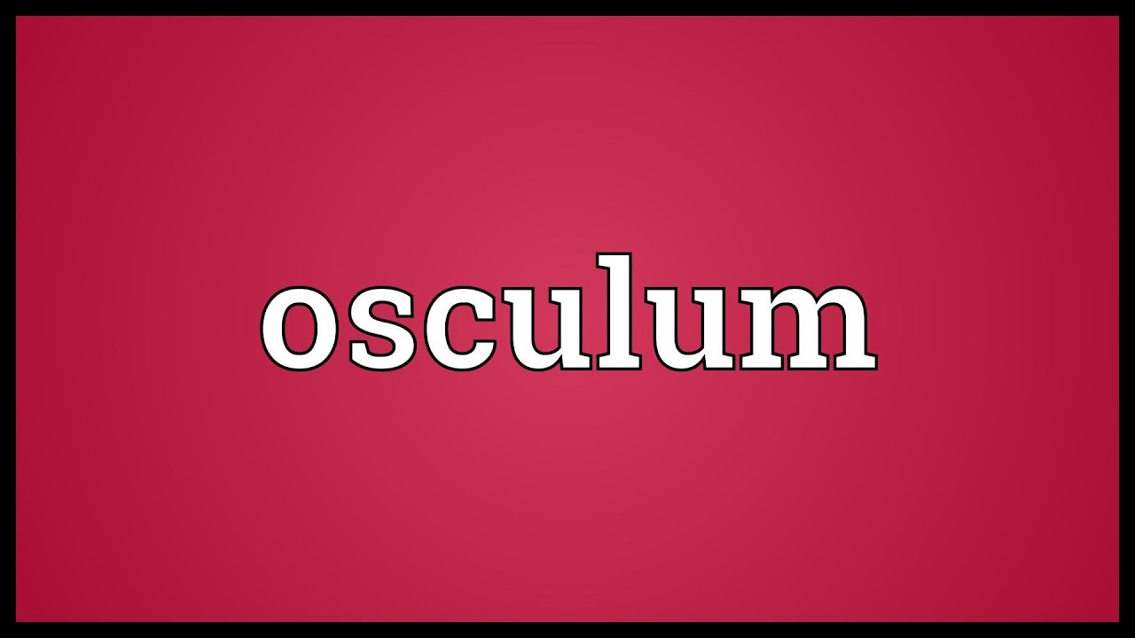 Osculum Meaning - YouTube