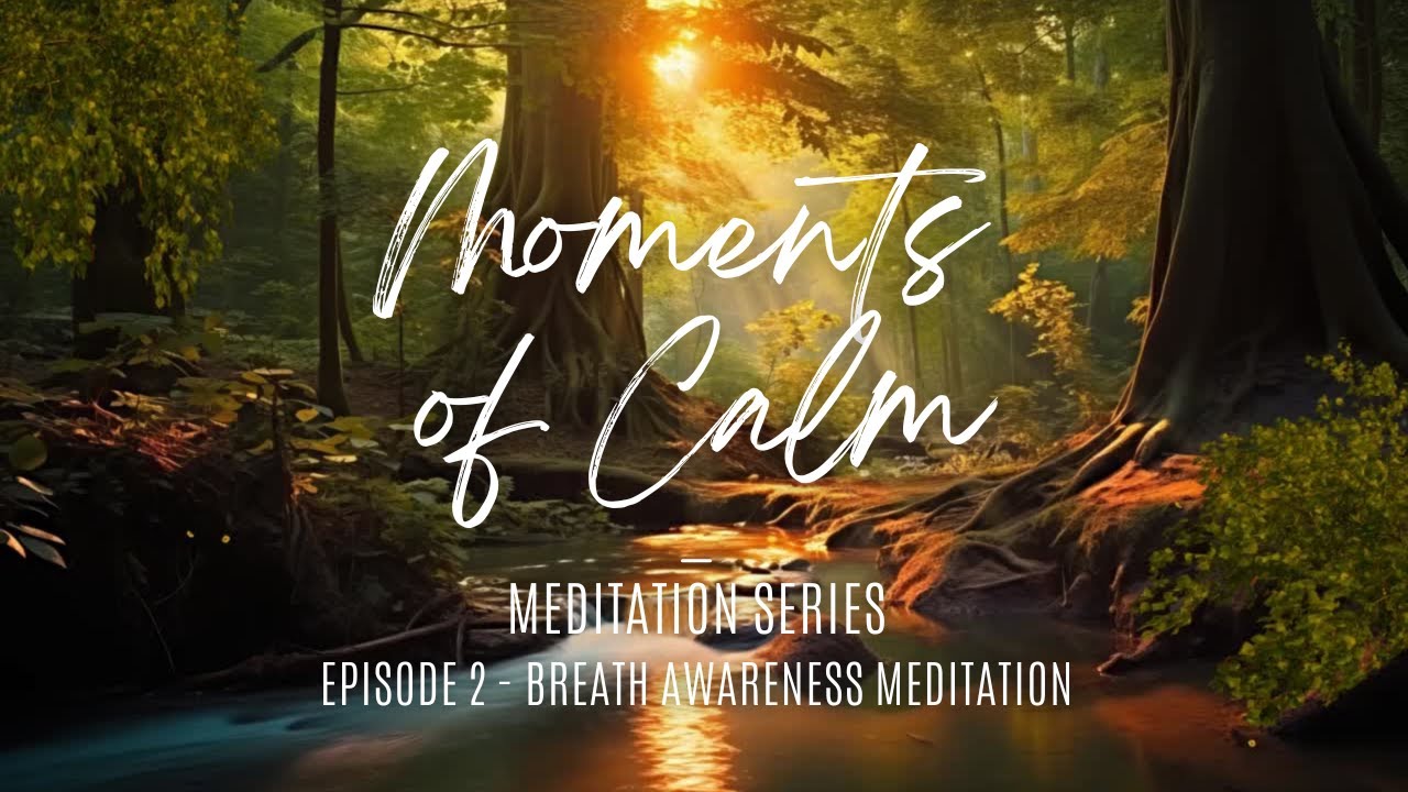 Moments of Calm: Breath Awareness Meditation to Relax & Stay Present ...