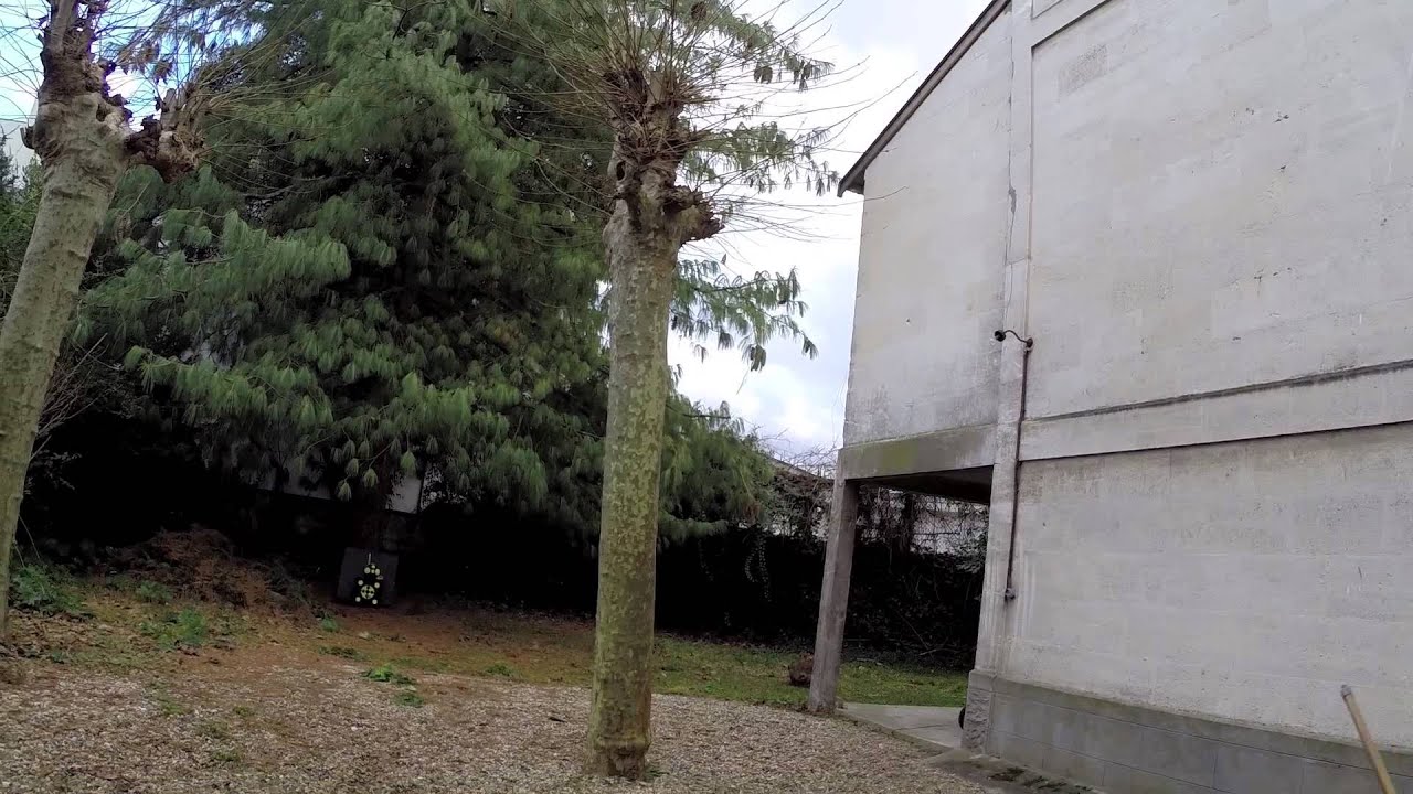 Test DAS Dalaa recurve bow at 20 yards - YouTube
