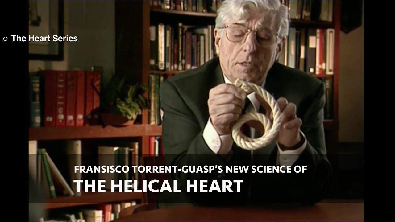 Fransisco Torrent-Guasp's New Science of The Helical Heart - YouTube