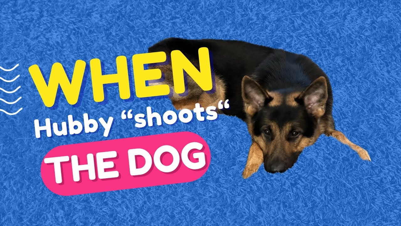 When hubby “shoots the dog” - YouTube