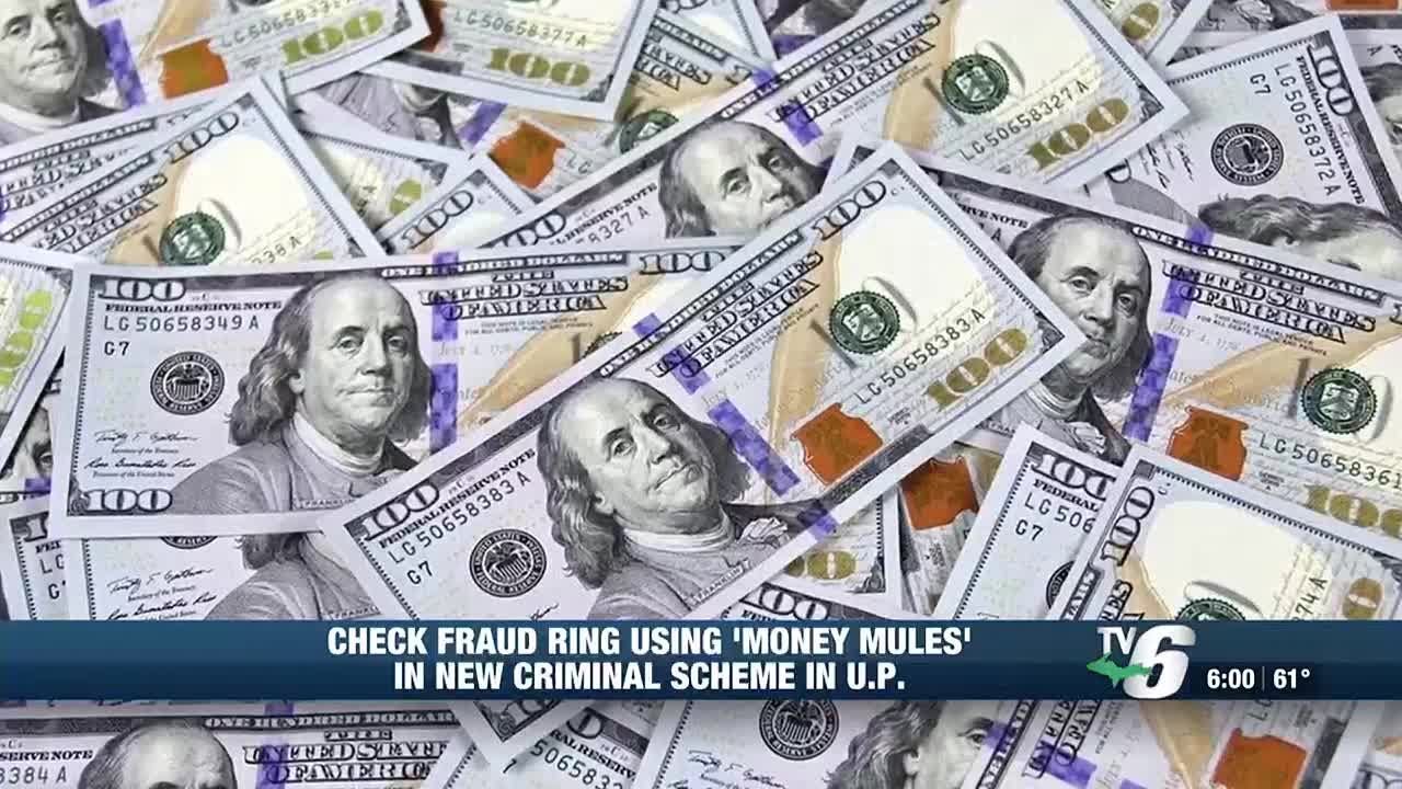 Check fraud ring using ‘money mules’ in new UP criminal scheme - YouTube