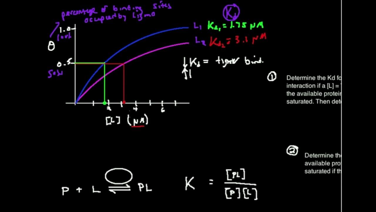 Graphical Estimation of Kd from P:L Binding Plot - YouTube