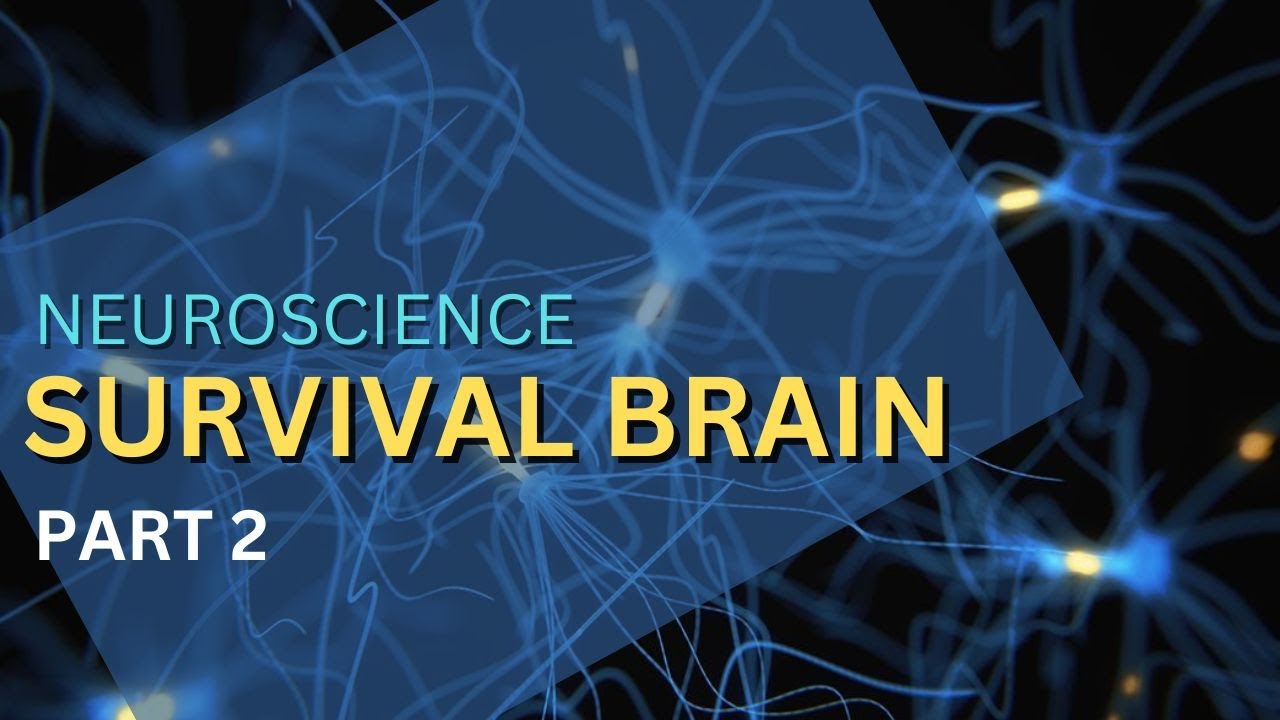 SURVIVAL BRAIN PART 2 - YouTube