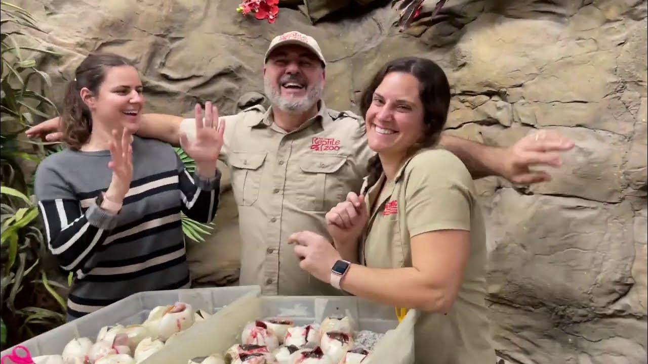 Opening Python Eggs Family Style! - YouTube