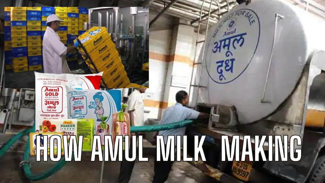 Amul milk kaise bante hey? / Amul milk making process / making of amul ...