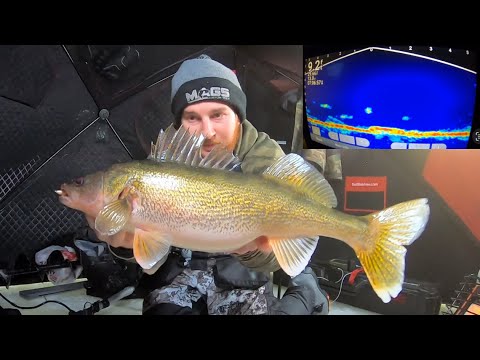 First Ice WALLEYES on the FOX RIVER With Garmin Livescope!!! - YouTube