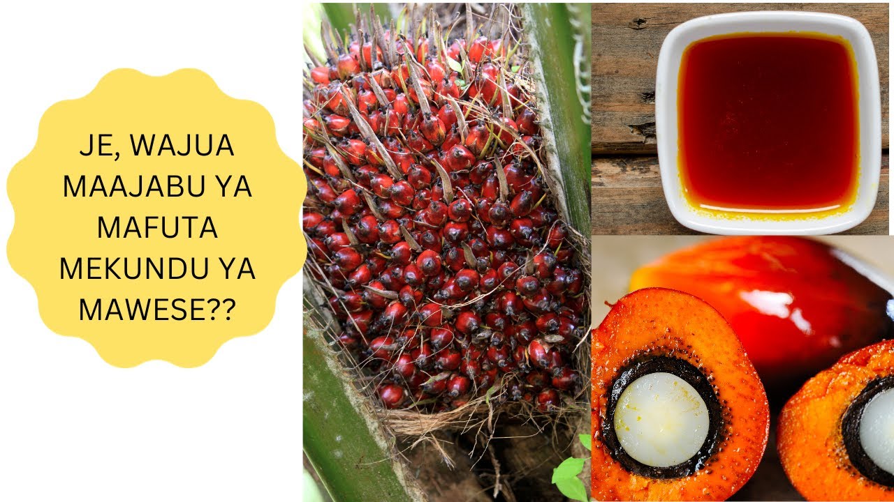 JE, WAJUA MAAJABU YA MAFUTA MEKUNDU YA MAWESE?? - YouTube