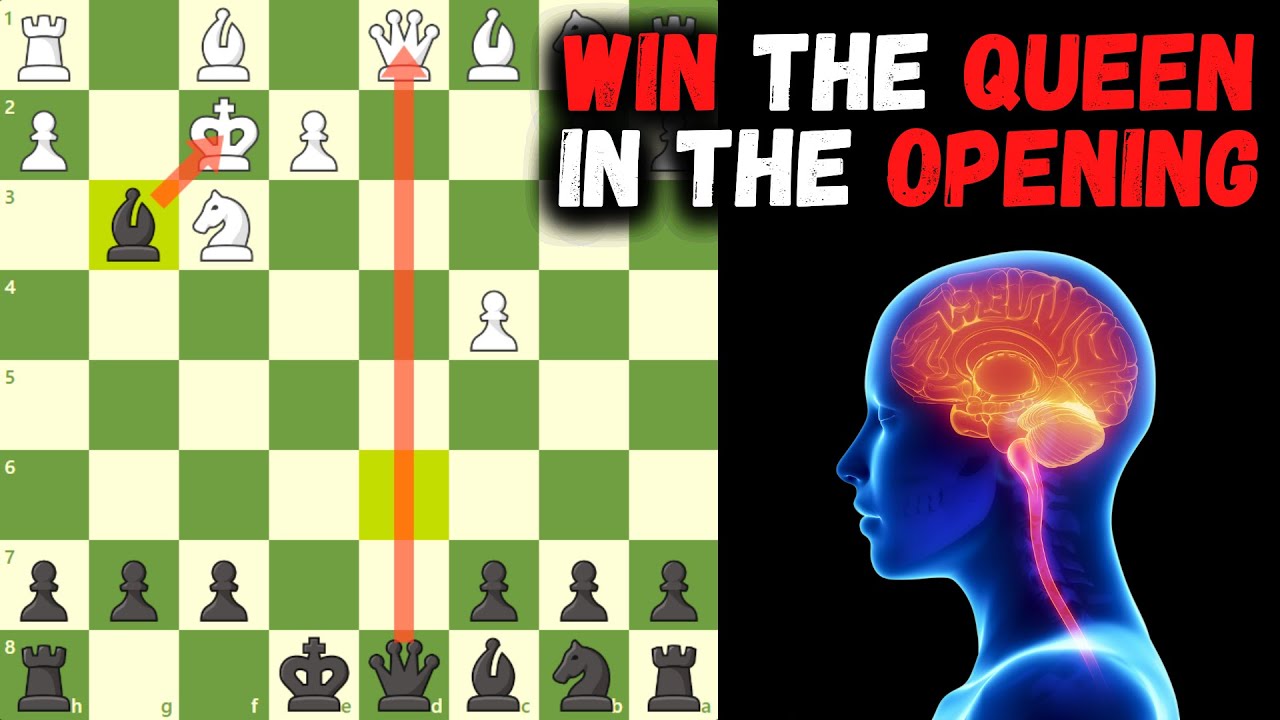 Daring Trap WIN the QUEEN in the OPENING | Chess Traps - YouTube