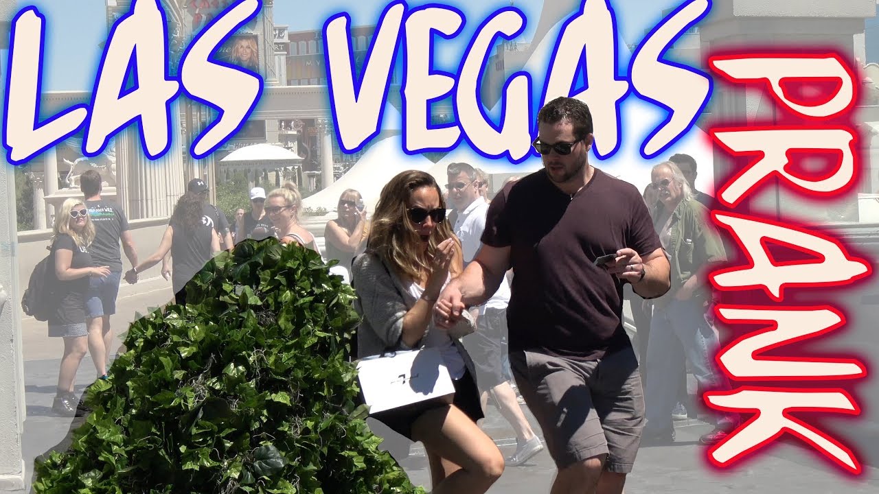 Bushman Funny Prank! 10 minutes long of Bush scares! Funny Video - YouTube