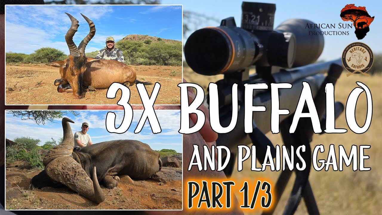 Hunting Buffalo and plains game in SA: Part 1/3 - YouTube