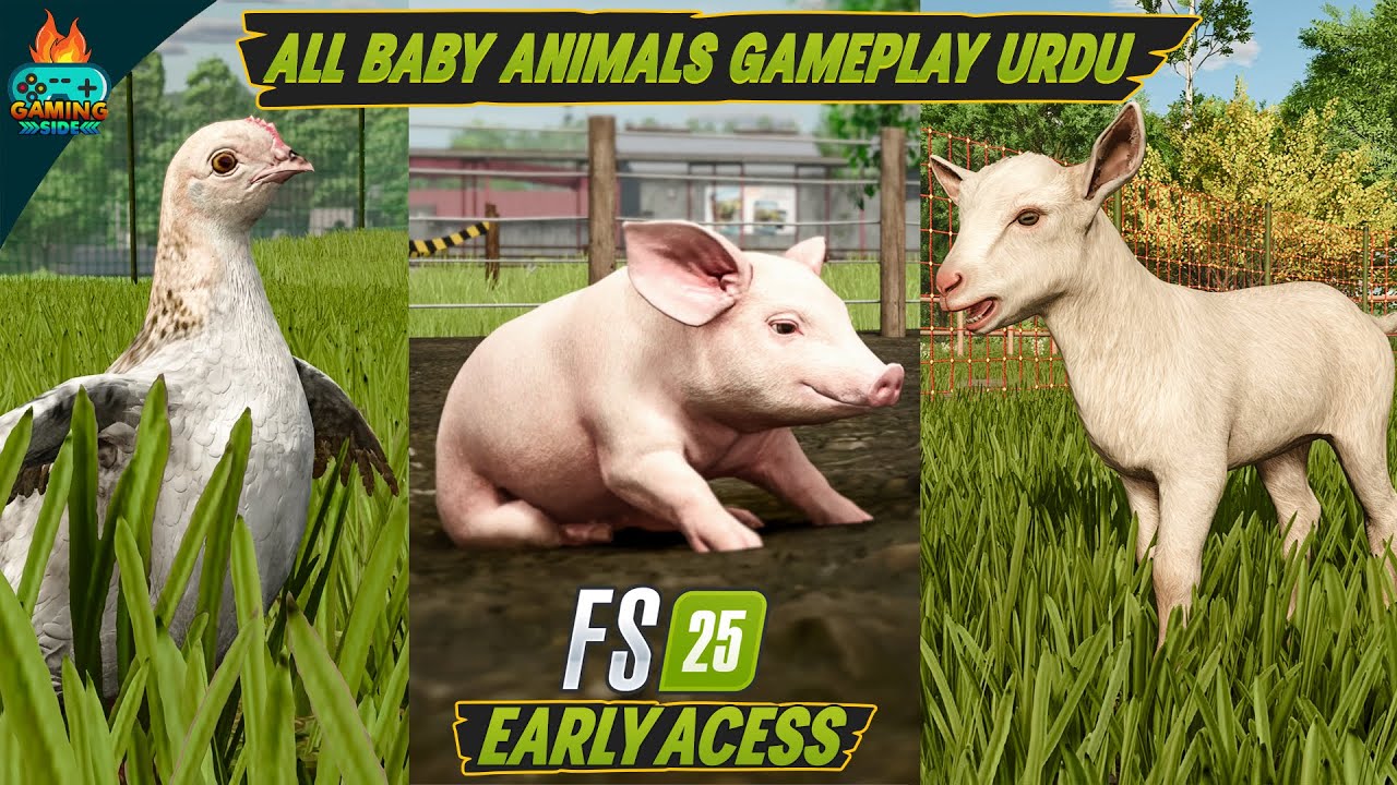All Baby Animals in Farming Simulator 25 - Urdu Hindi Gameplay - YouTube