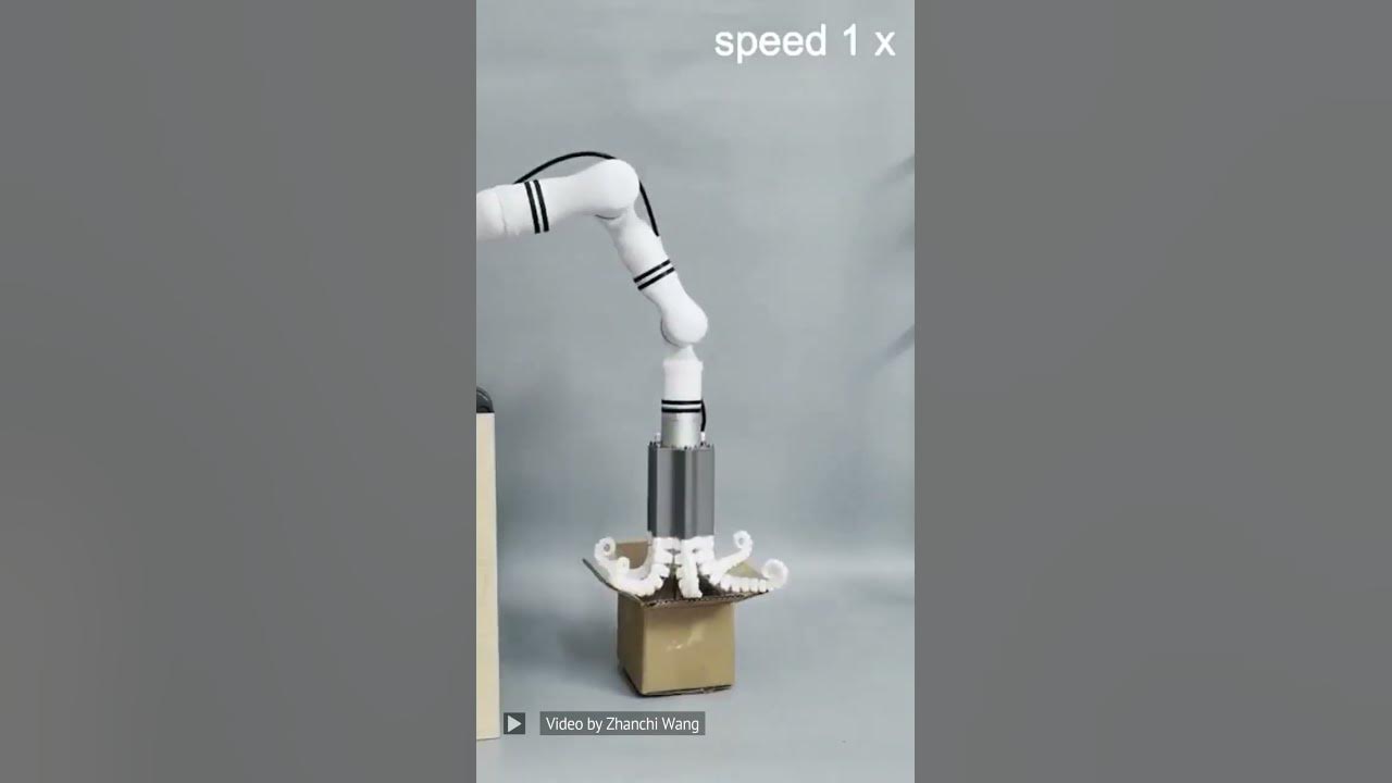 Octopus Inspired Robotic Arm - YouTube