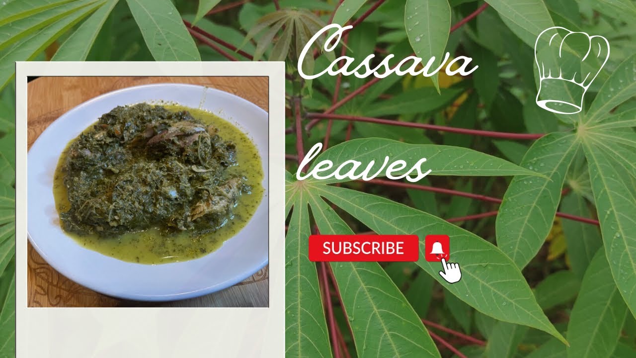 How to cook cassava leaves with Horse mackerel fish (we call it ...