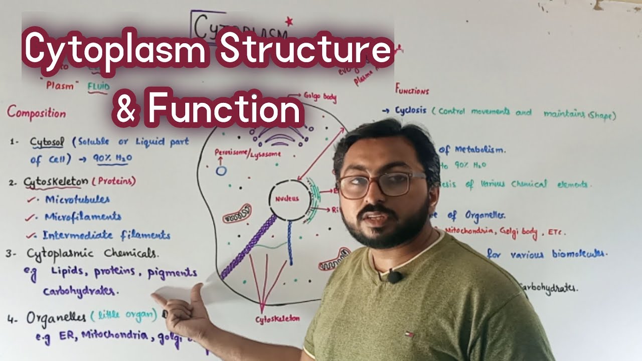 Cytoplasm | Structure | Function | Composition | Cell biology - YouTube