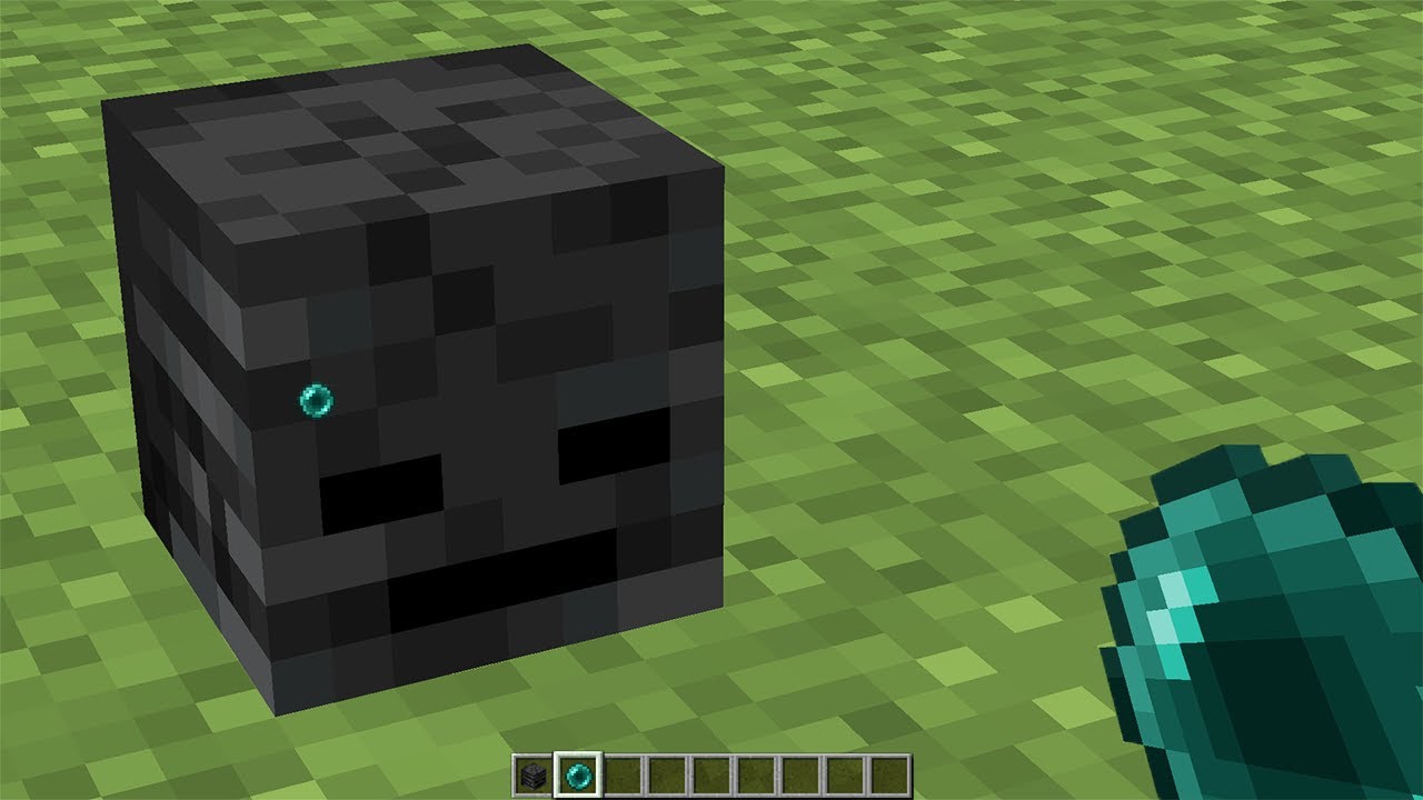 what's inside wither skeleton head ? - YouTube