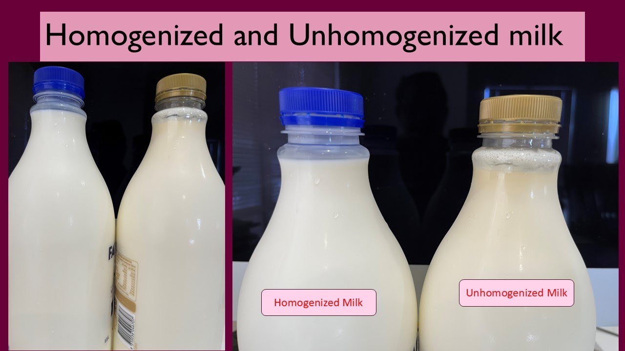 Do you know the difference between Homogenized and unhomogenized milk ...