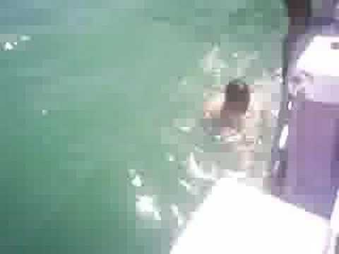 Isla Fea - Buzios - YouTube