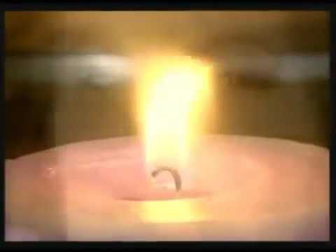 Selda Bagcan - Ah Yalan Dunya (Official Video)