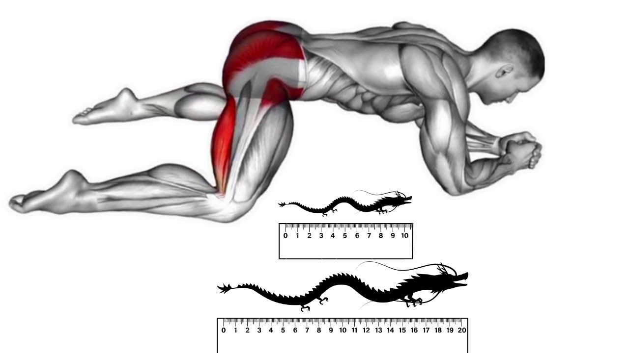 BEST KEGAL WORKOUT FOR AT HOME |pelvicfloor | kegalworkout - YouTube