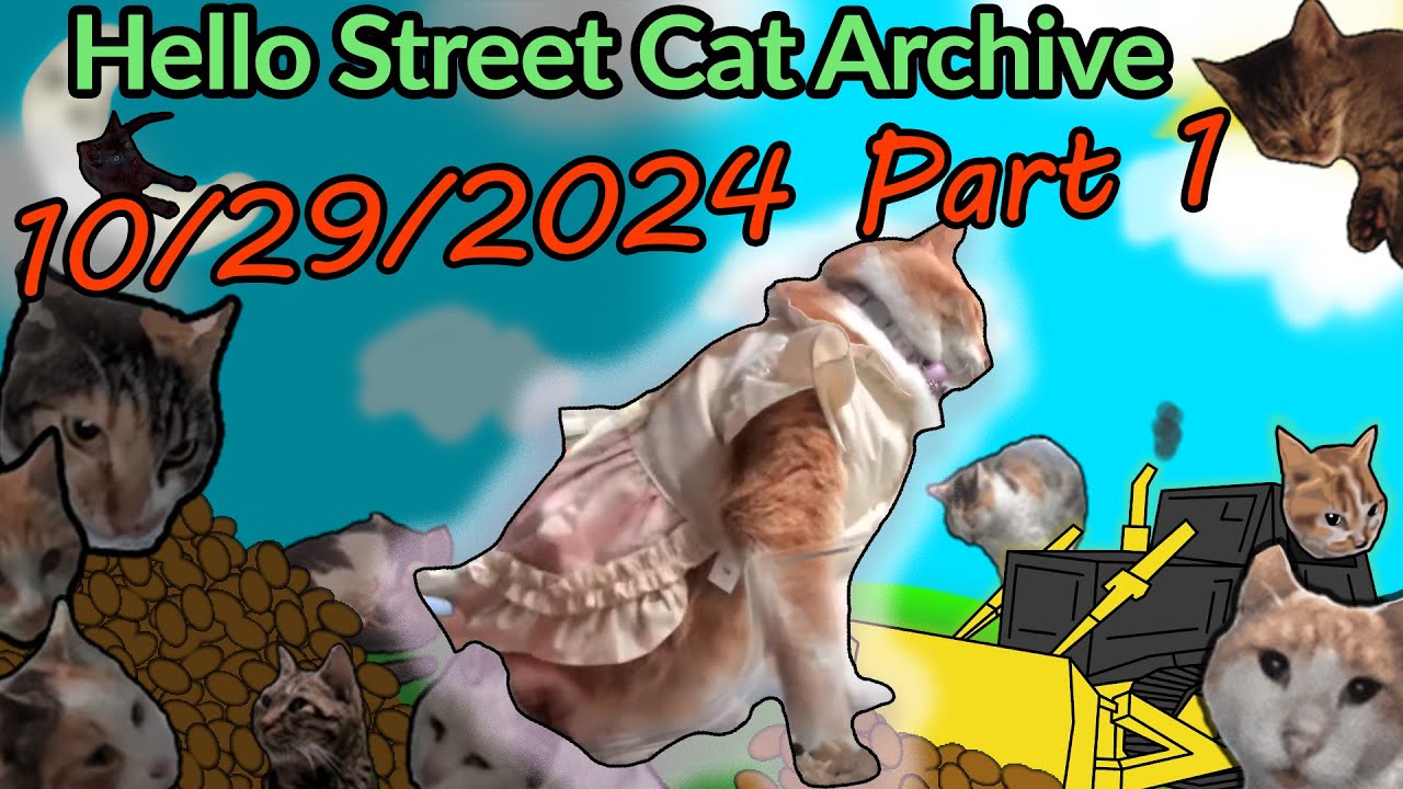 Ms. Dress Stunning with Amazing Fashions Again!! Hello Street Cat Daily ...
