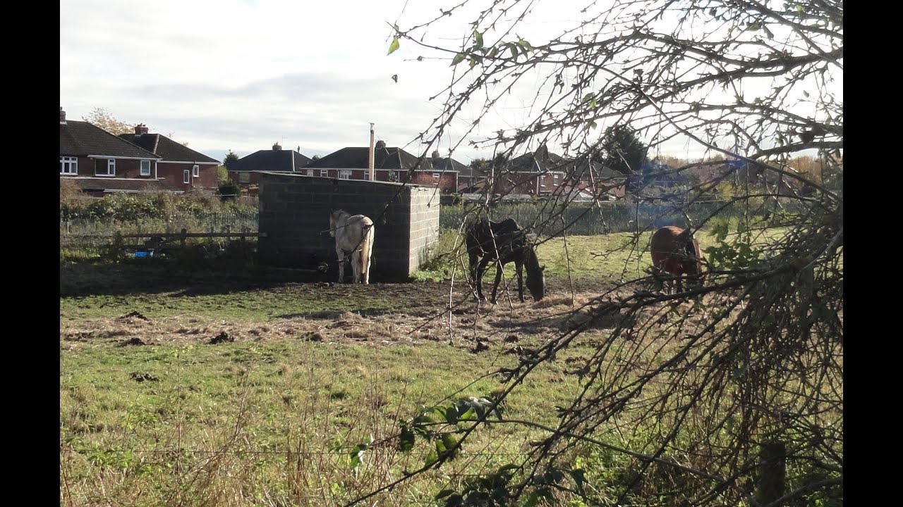 TAKING A WALK ON A COLD SATURDAY MORNING video Colin C. - YouTube
