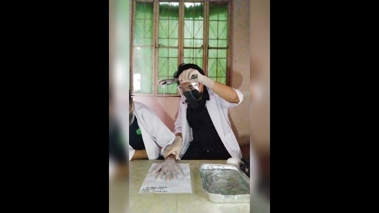 PARAFFIN CASTING - YouTube