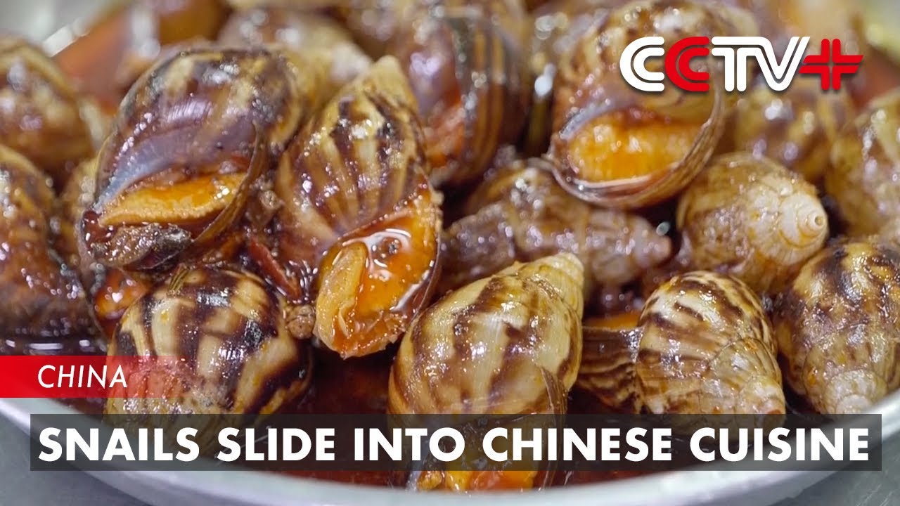 Snails Slide into Chinese Cuisine | BIZTODAY - YouTube