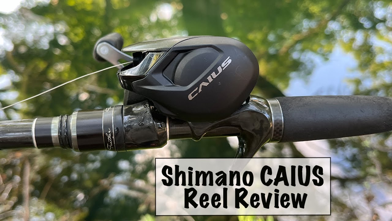 Shimano CAIUS Reel Review. Only $80!? - YouTube