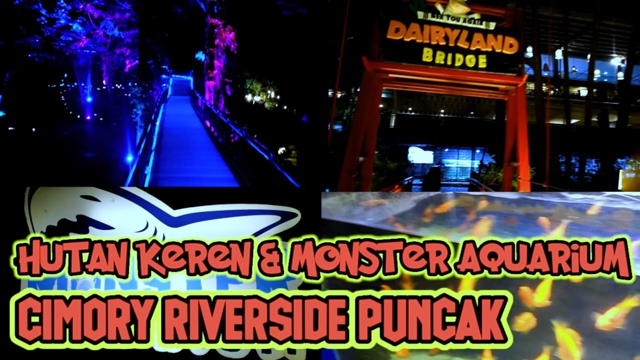 HUTAN KEREN || MONSTER AQUARIUM || CIMORY RIVERSIDE PUNCAK - YouTube