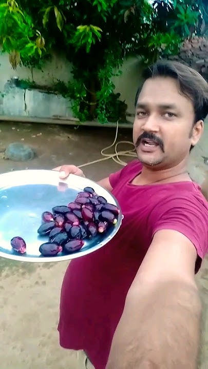 hello doston Aaj ham kha rahe hain jamun aap log ko khana hai to a jaaiye #funny #youtubeshorts ...