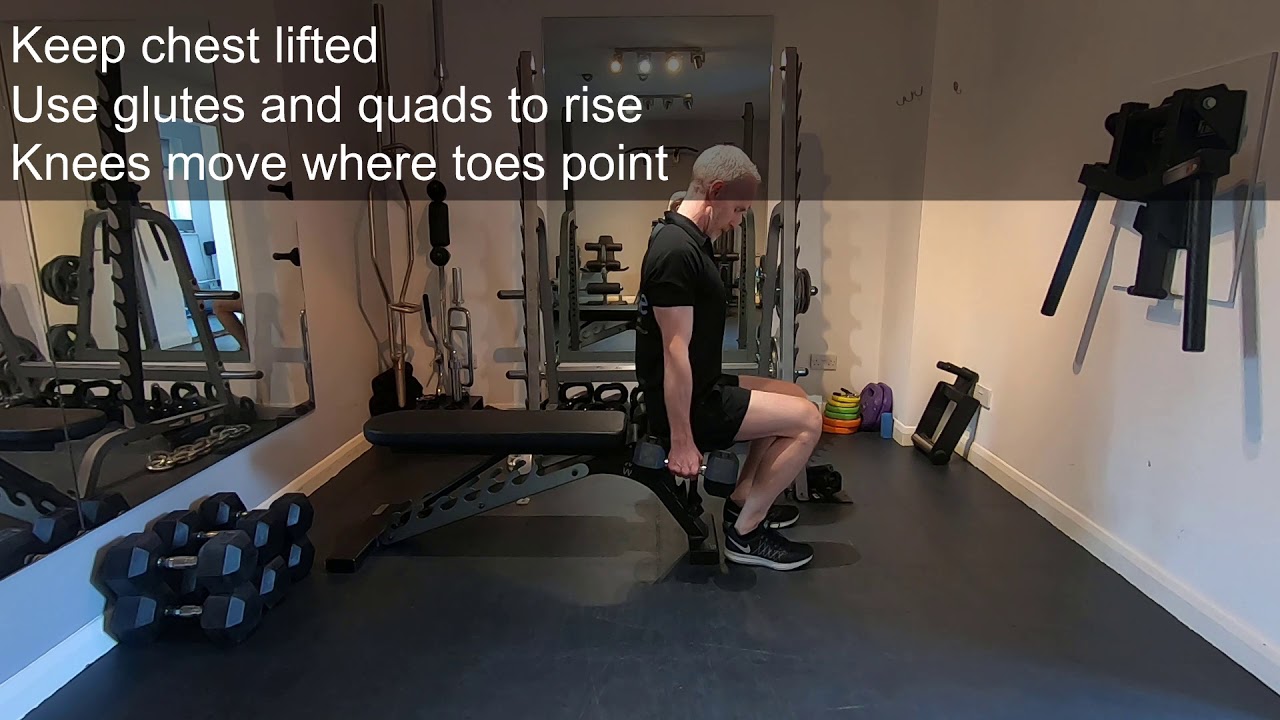 Dumbbell Box Squat - YouTube