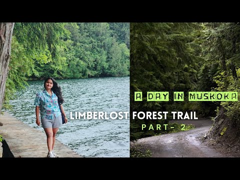 Exploring Limberlost Forest : A Hidden Gem in Huntsville, Ontario ...
