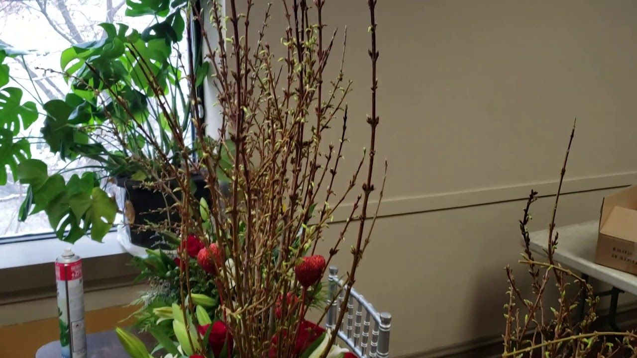 Michael Gaffney topiary trees American school of flower design - YouTube