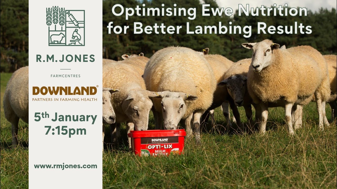Optimising Ewe Nutrition for Better Lambing Results Webinar - YouTube