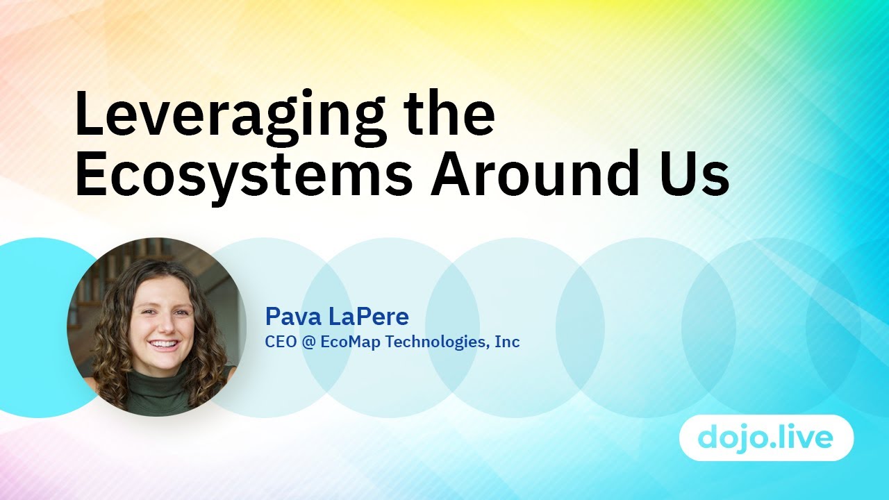 Leveraging the Ecosystems Around Us - Pava LaPere - YouTube