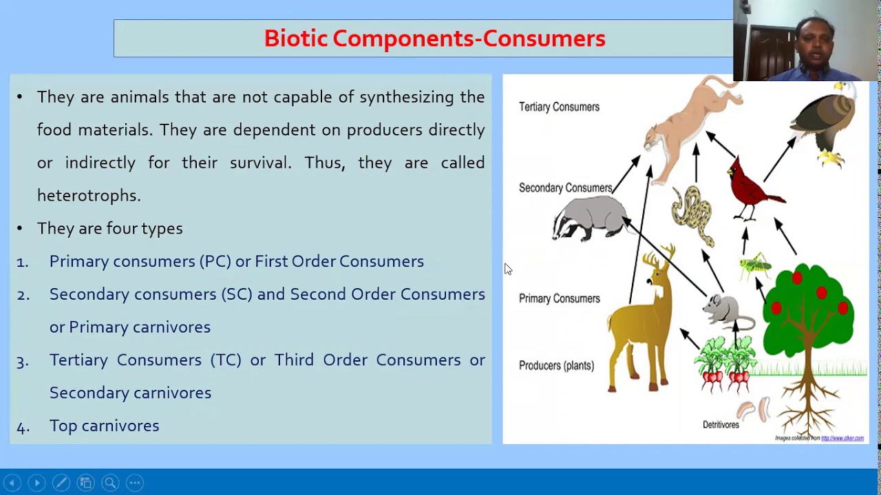BOTANY TOPIC ECOSYSTEM PART II STRUCTURE & COMPONENTS - YouTube