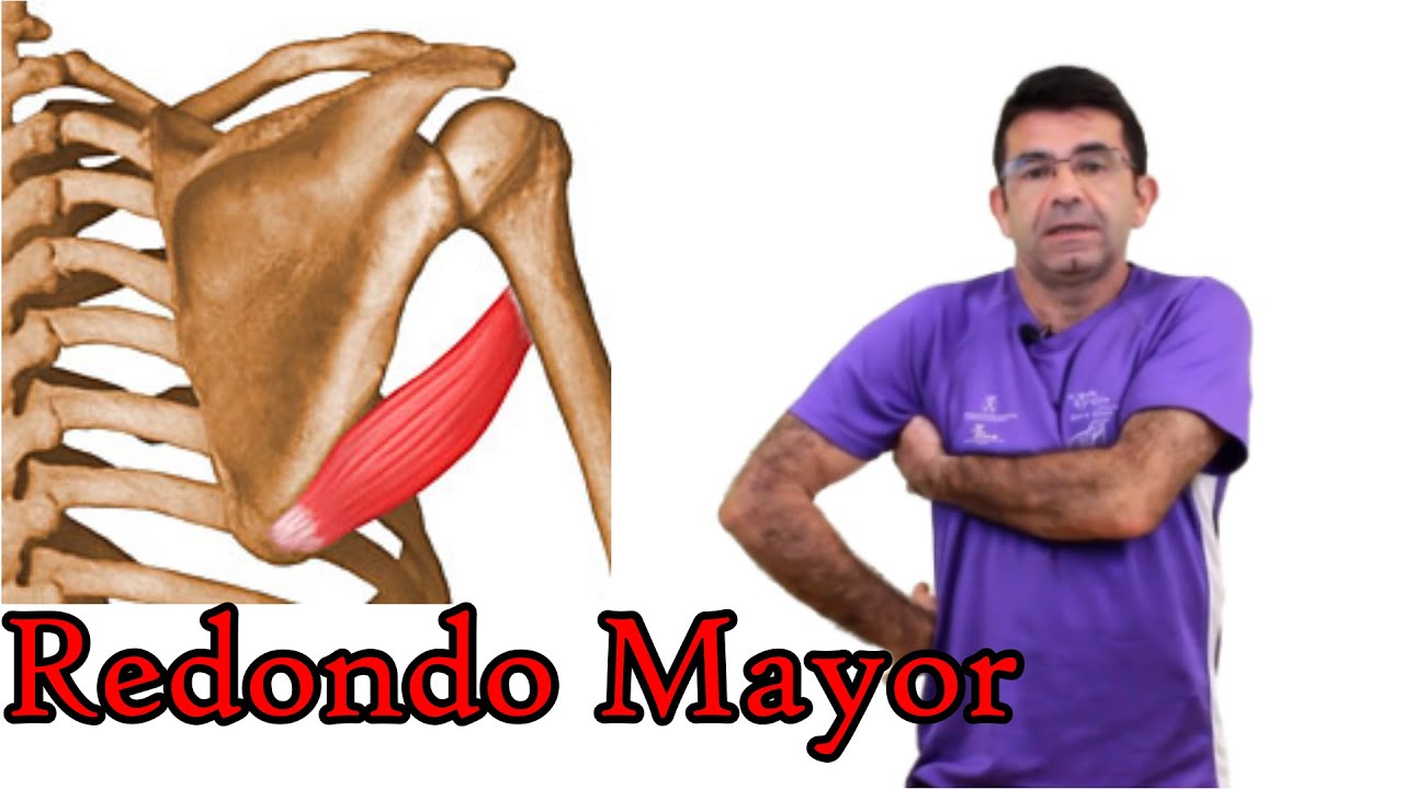 Musculo redondo mayor, valoración y corrección - YouTube