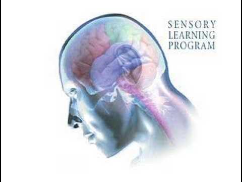 How the Sensory Learning Program works - YouTube