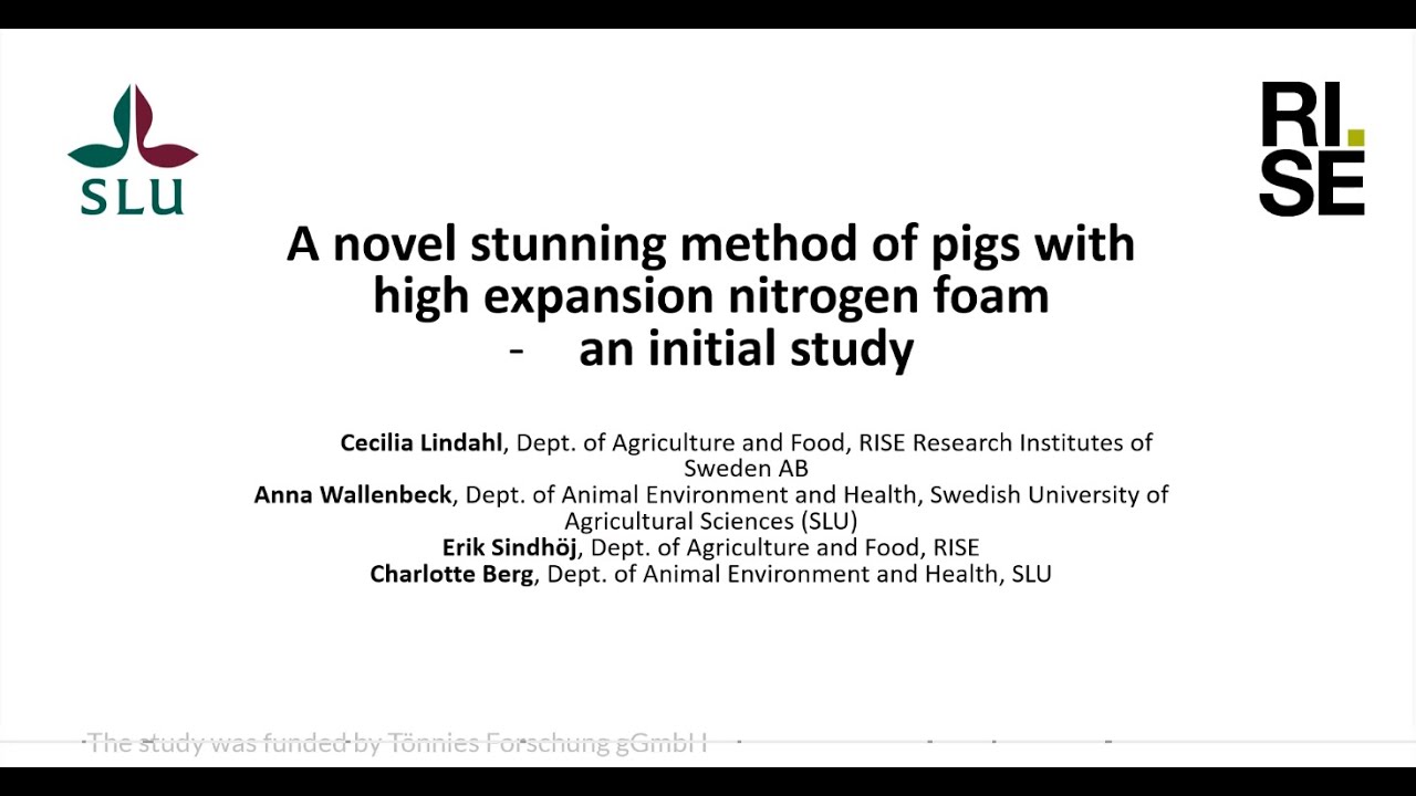 Lindahl et al A novel stunning method - YouTube
