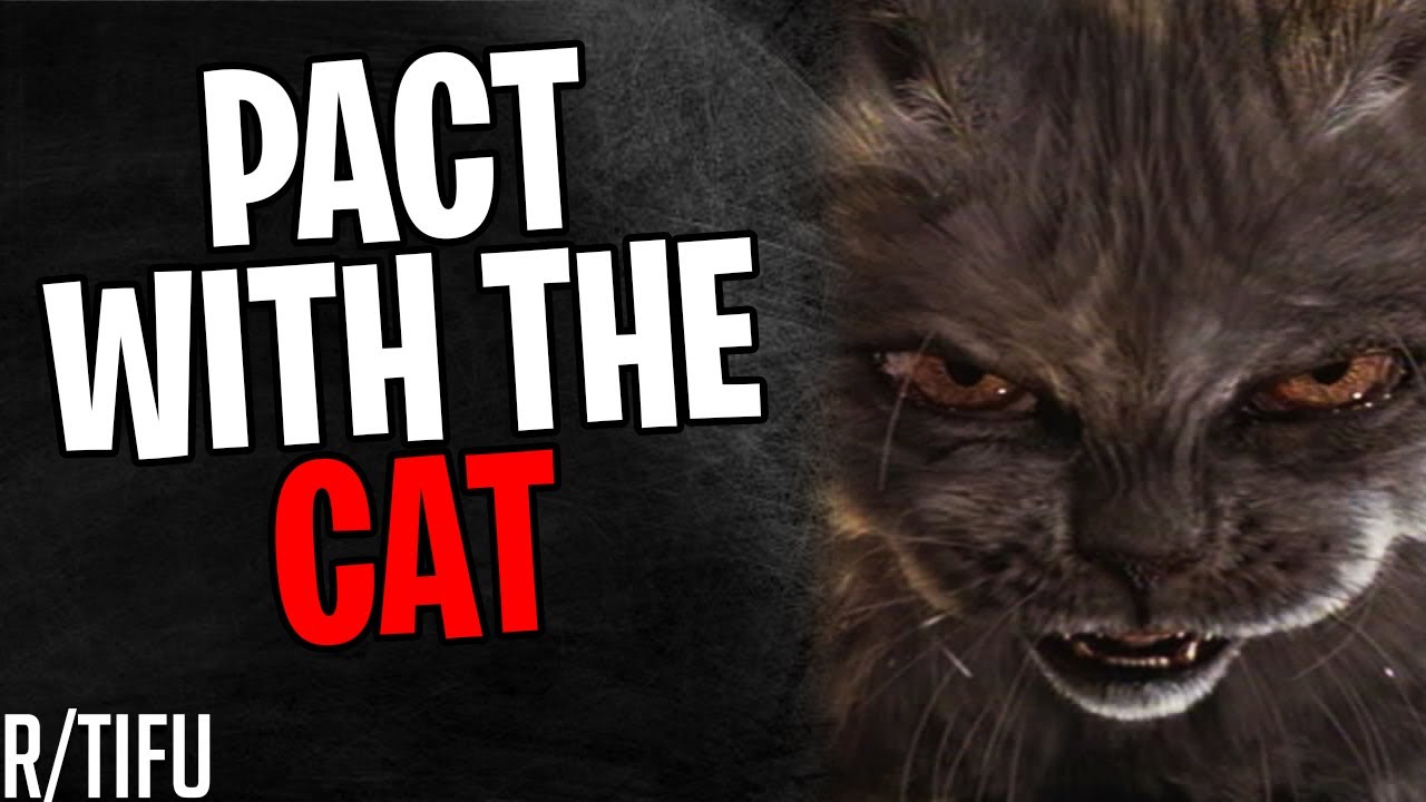 r/TIFU By Making A PACT With The CAT! - YouTube