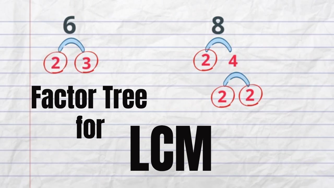 How To Find LCM Using Factor Tree LCM For 6 And 8 LCM For 16 And 24 How To Find LCM Using Factor Tree LCM For 6 And 8 LCM For 16 And 24