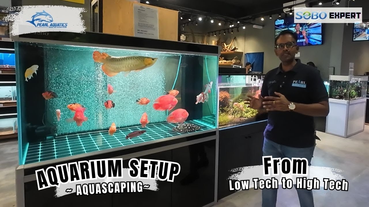 Aquarium Tank Setup Ideas | Aquascape, Hardscape & Natural Designs by ...