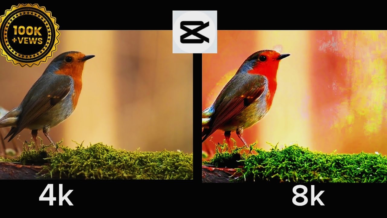 8k Quality Edit in capcut in Android phone! - YouTube