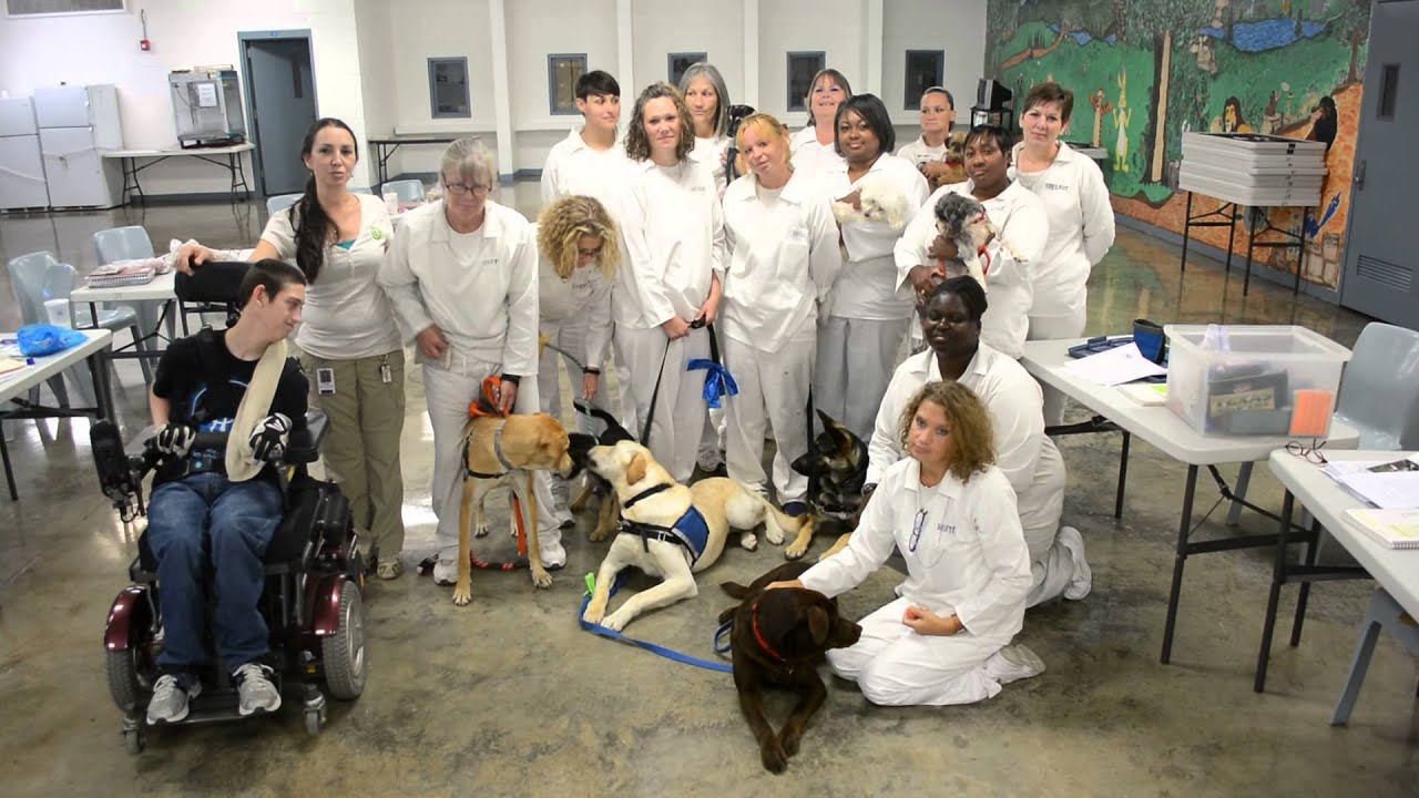Paws in Prison at Hawkins - Wrightsville, Arkansas - YouTube