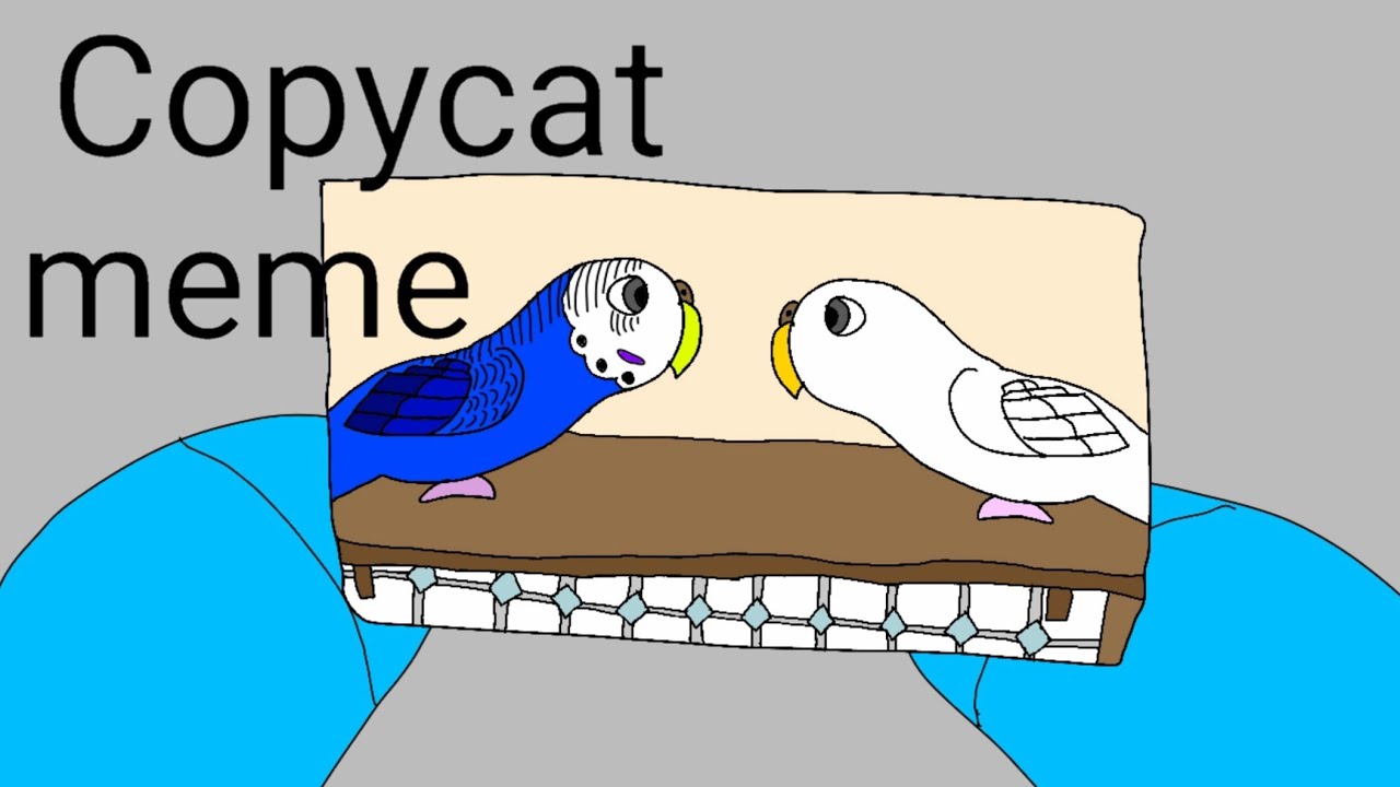Copycat meme - YouTube