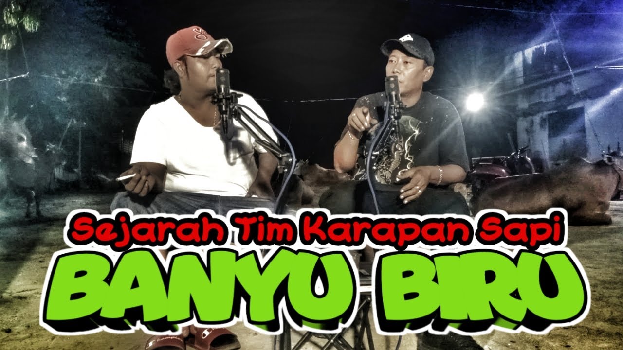 Menguak Sejarah Tim Karapan Sapi BANYU BIRU - YouTube
